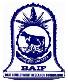 Development Management Institute | Home